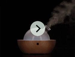 Aromatherapy Diffusers, Chinese Ceramics & Tea Culture | Traditions ...